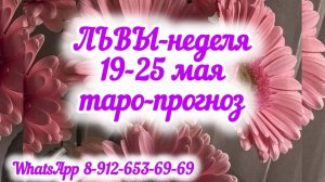 ЛЬВЫ. Неделя с 19 по 25 мая.