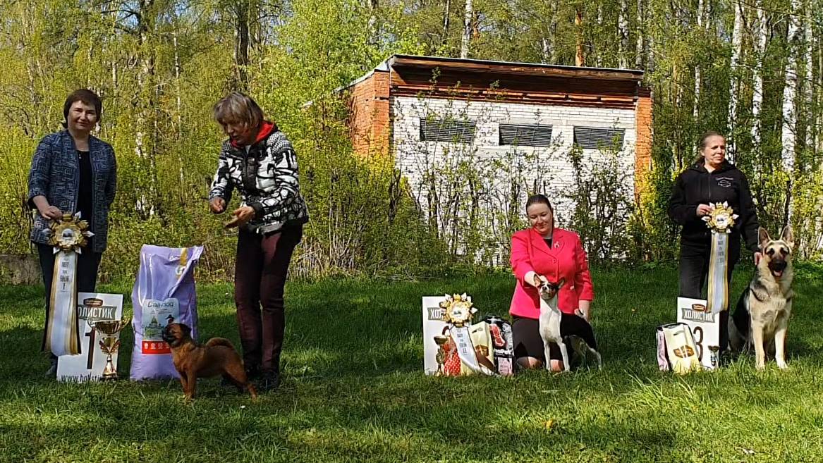 17.05.2025, СПб. Клуб "Империя" (РКФ, РФОС). Выставка собак всех пород "КУБОК ИМПЕРИИ" (САС, ЧФ)