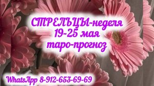 СТРЕЛЬЦЫ. Неделя с 19 по 25 мая. Таро прогноз.