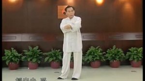 85 форм Ян ши Тайцзицюань / 赵幼斌杨氏太极拳85式 (2014). Часть - 8