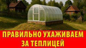 Правильно ухаживаем за теплицей летом 2025 года. Все нюансы