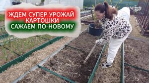 ОБРАБОТКА КАРТОФЕЛЯ БЕЗ ХИМИИ: ГОТОВИМ КЛУБНИ К БОРЬБЕ С ЖУКОМ И ПРОВОЛОЧНИКОМ + ПОСАДКА  ПО-НОВОМУ.