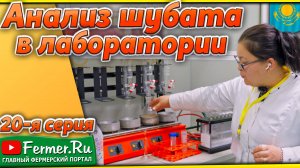 Шубат побеждает апельсиновый сок: Это факты! Будущее животноводства: пробиотики из кумыса и шубата.