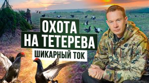 Как ПРАВИЛЬНО охотиться НА ТЕТЕРЕВА? НЮАНСЫ тетеревиной охоты. Как найти ток и сделать шалаш?