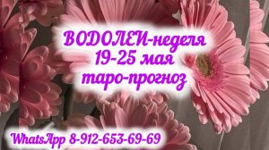 ВОДОЛЕИ. Неделя с 19 по 25 мая.