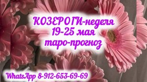 КОЗЕРОГИ. Неделя с 19 по 25 мая.