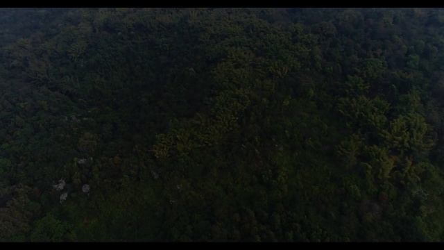 WFM x LEM - AUGUST