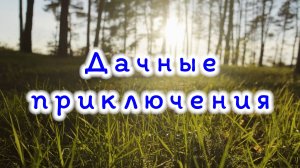 Дачные приключения