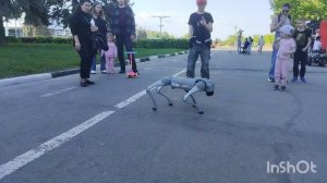 17.05.2025 Рамиль на лёгкую атлетику, Булат на гимнастику, прогулка по набережной, просмотр кино