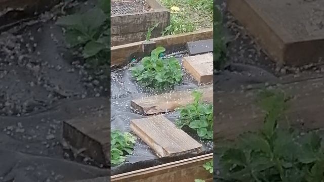 Погода у нас шепчет 18.05.2025г. 😨😲