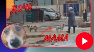 Забрали дочку, а мама осталась на погибель...