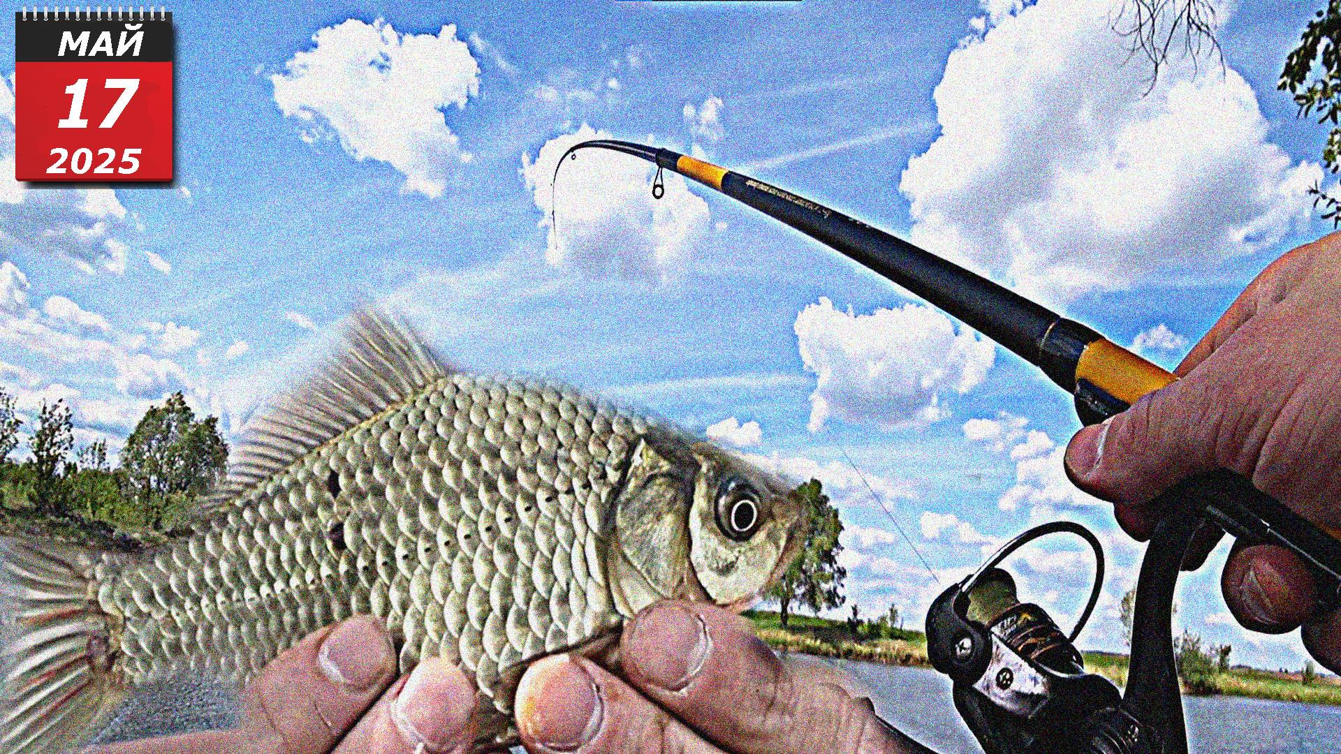 ВЫЕЗД ЗА КАРАСЁМ . Рыбалка на поплавок 2025