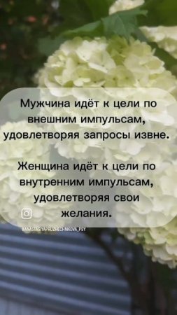 Женщина и мужчина : импульсы