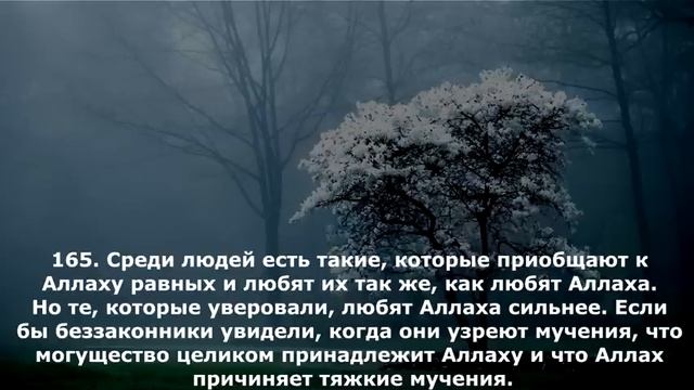 Сура 2 Аль-Бакара (Корова)  с переводом