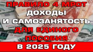 4 МРОТ Доходы и Самозанятость для Единого пособия Ответы на вопросы