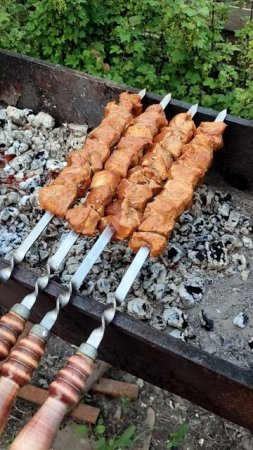 Любимый шашлык. Какое мясо выбрать ?