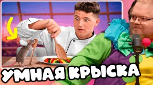 [T2x2 СМОТРИТ Я НАУЧИЛ КРЫСУ ГОТОВИТЬ РАТАТУЙ!] УМНАЯ КРЫСКА
