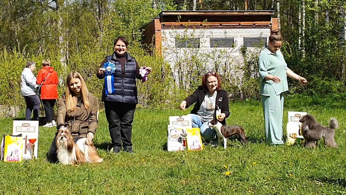 17.05.2025, СПб. Клуб "Империя" (РКФ, РФОС). Выставка собак САС 9 группы FCI