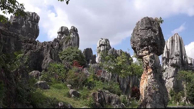 Китайское чудо света: каменный лес Шилинь