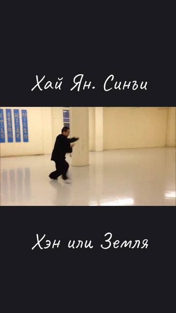 Хай Ян. Синъицюань. Хэн или Земля