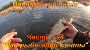 Весенняя рыбалка. Часть - 94. "Язь рыба моей мечты".