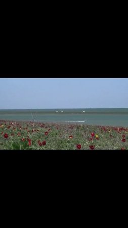 Весна на Маныче