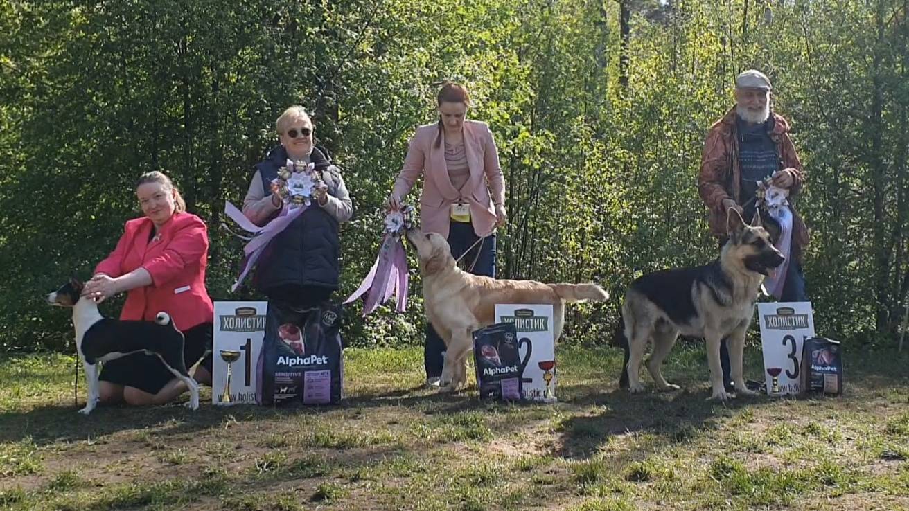 17.05.2025, СПб. Клуб "Кредо" (РКФ, РФОС). Выставка собак всех пород "КЛЮЧ К УСПЕХУ" (САС, ЧРКФ)
