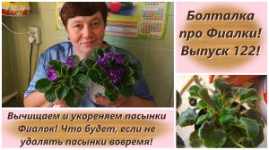 Болталка про Фиалки! Выпуск 122! Вычищаем пасынки Фиалок! Что будет, если не удалять пасынки!