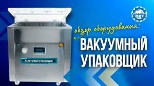 Вакуумный упаковщик с вибростолом DZ-650 Foodatlas Eco