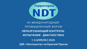 Интервью генерального директора НИИИН Д. Галкина | Промышленный форум "Территория NDT"