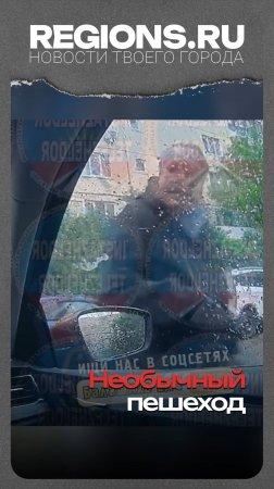 Необычный пешеход