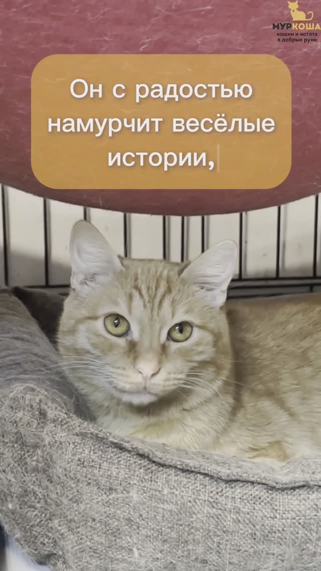 Репкин (уже дома)