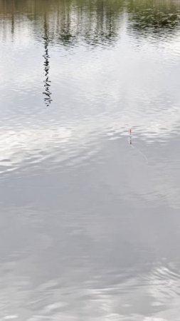 РАЗДАЧА КАРАСЯ НА ПОПЛАВОК  #fishing #рыбалка