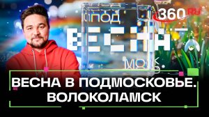 Волоколамск – место, где живут аисты. Весна в Подмосковье. Молочко