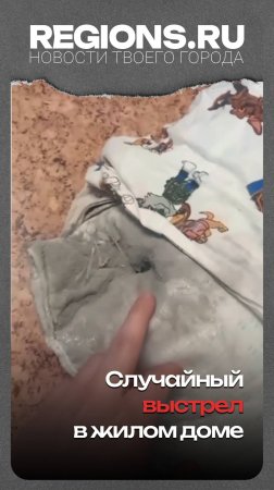 Случайный выстрел в жилом доме