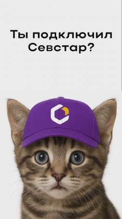 Ты подключил Севстар?