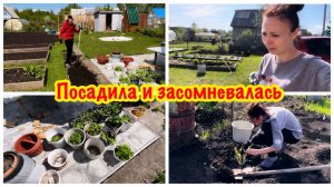 ИЗ НЕВЗРАЧНОГО УЧАСТКА В ЦВЕТУЩИЙ САД/СОСЕДКА РАССКАЗАЛА СЕКРЕТ, А Я ПОВТОРИЛА И ЗАСОМНЕВАЛАСЬ