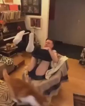 Опасные игры с котом😮😅