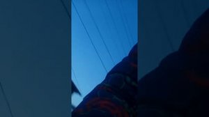 Короче говоря поездка на санях