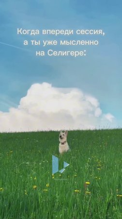 Уже скоро отправимся на Селигер! 🏕️
