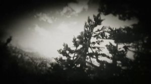 Смерть ублюдка rdr2
