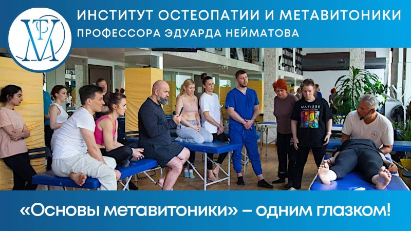 Основы метавитоники – одним глазком!