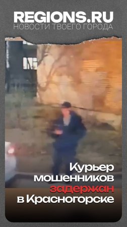 Курьер мошенников задержан в Красногорске