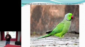 Открытая лекция «Бёрдвотчинг: новые и редкие виды птиц в орнитофауне Ленинградской области».
