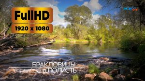 ПОРОГИ НА РЕКЕ ПОЛИСТЬ. Старая Русса, Бракловицы. FHD ЗАСТАВКА. Живая природа. АНТИСТРЕСС, RELAX.