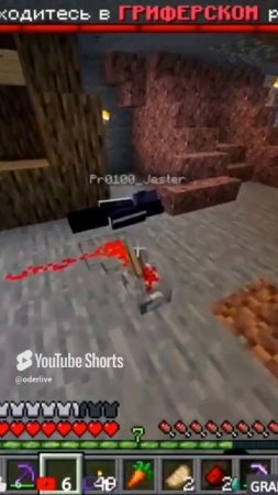 Minecraft Лучшее #919