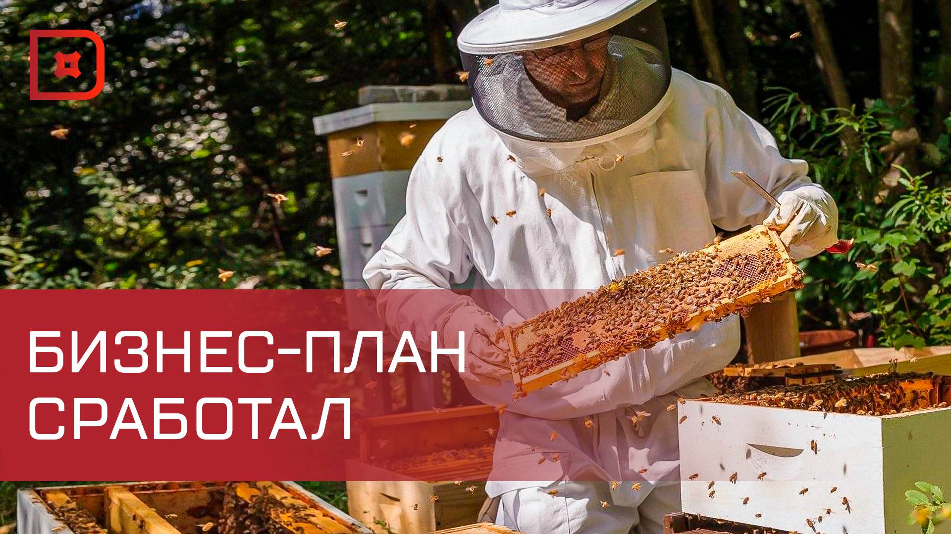 Соцконтракт помог жителям Гунибского района развить бизнес