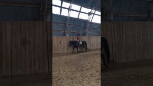 Даша и Наоми, подготовка к ПФО.