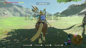 Breath of the Wild - серия 57, прохождение