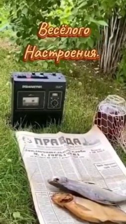 VID-20250519-WA0369